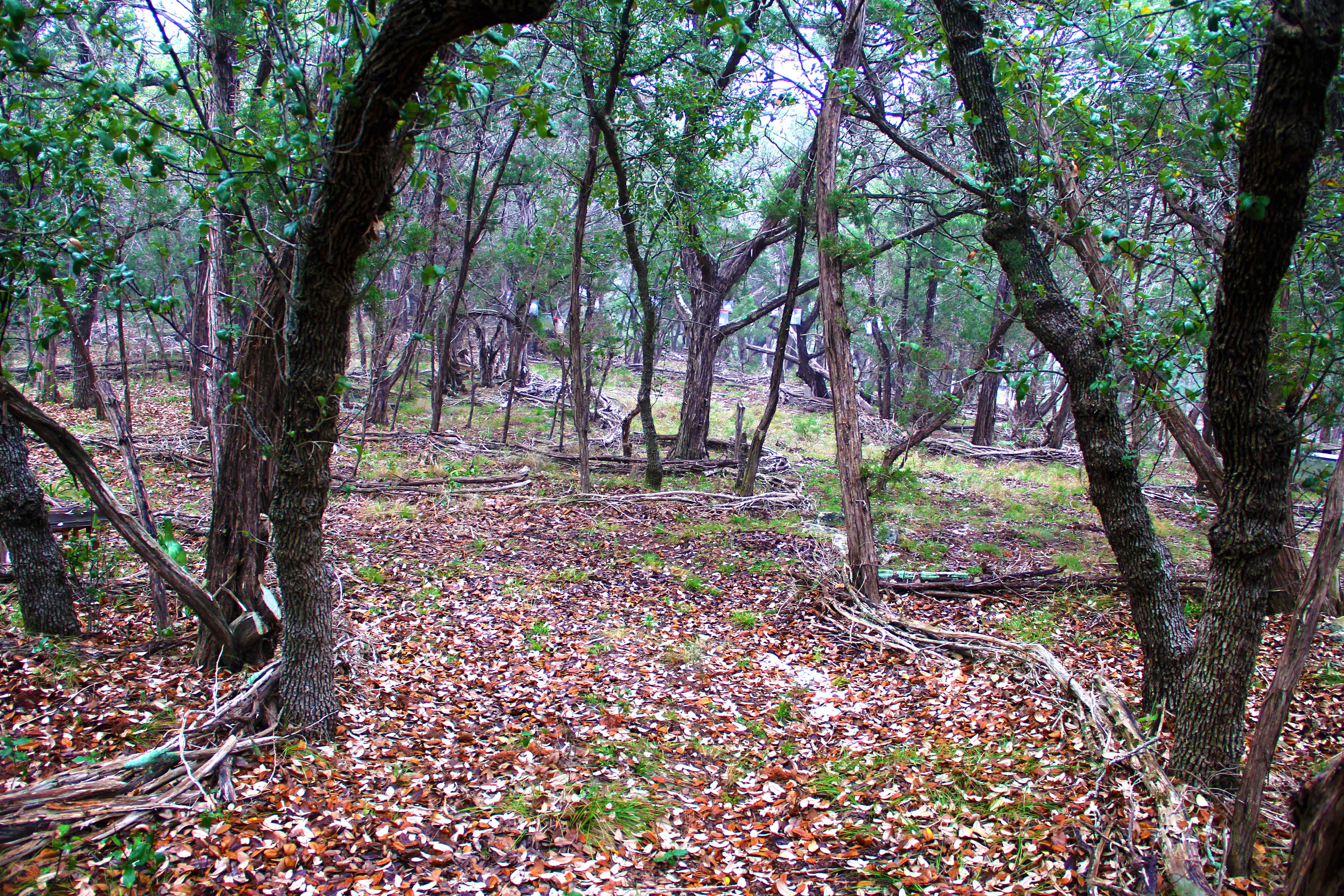 Hays County Austin Texas Hill Country Natural Research Project